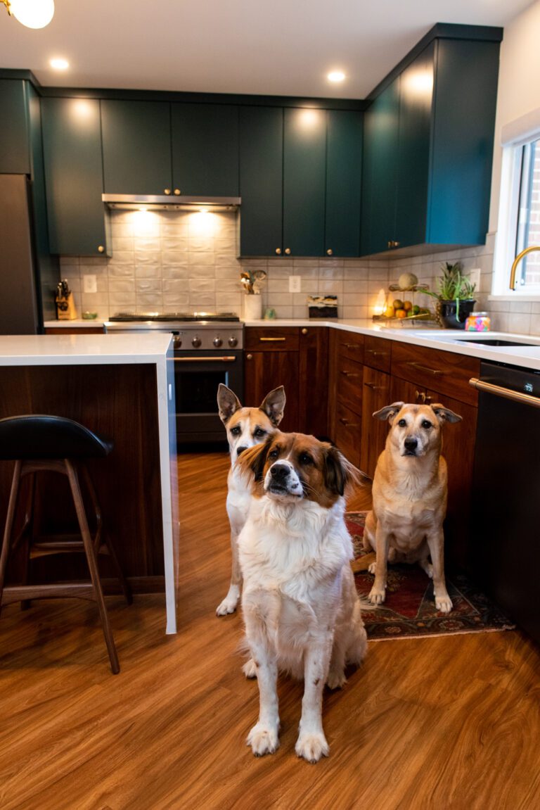Mid-Century Modern Kitchen Remodel - Reston, VA